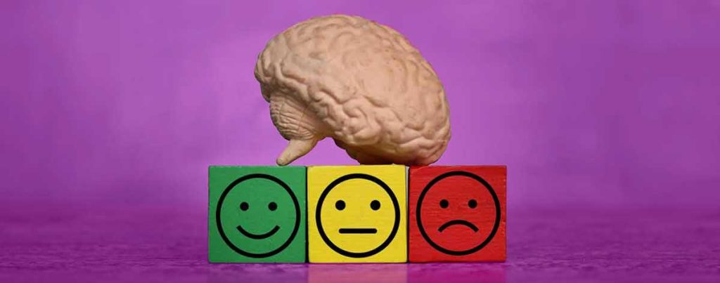 Toolbox | Build Your Own Brain